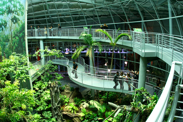 Sense of Creativity: The aim... To be the Greenest Museum on Earth